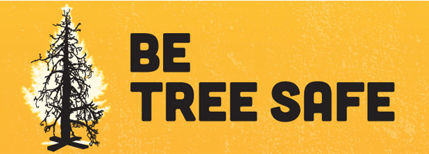 Preventing Tree Fires this 2017 Holiday Season